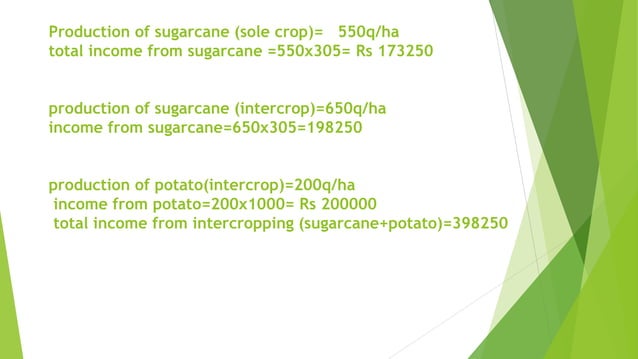 Sugarcane & potato intercropping | PPT