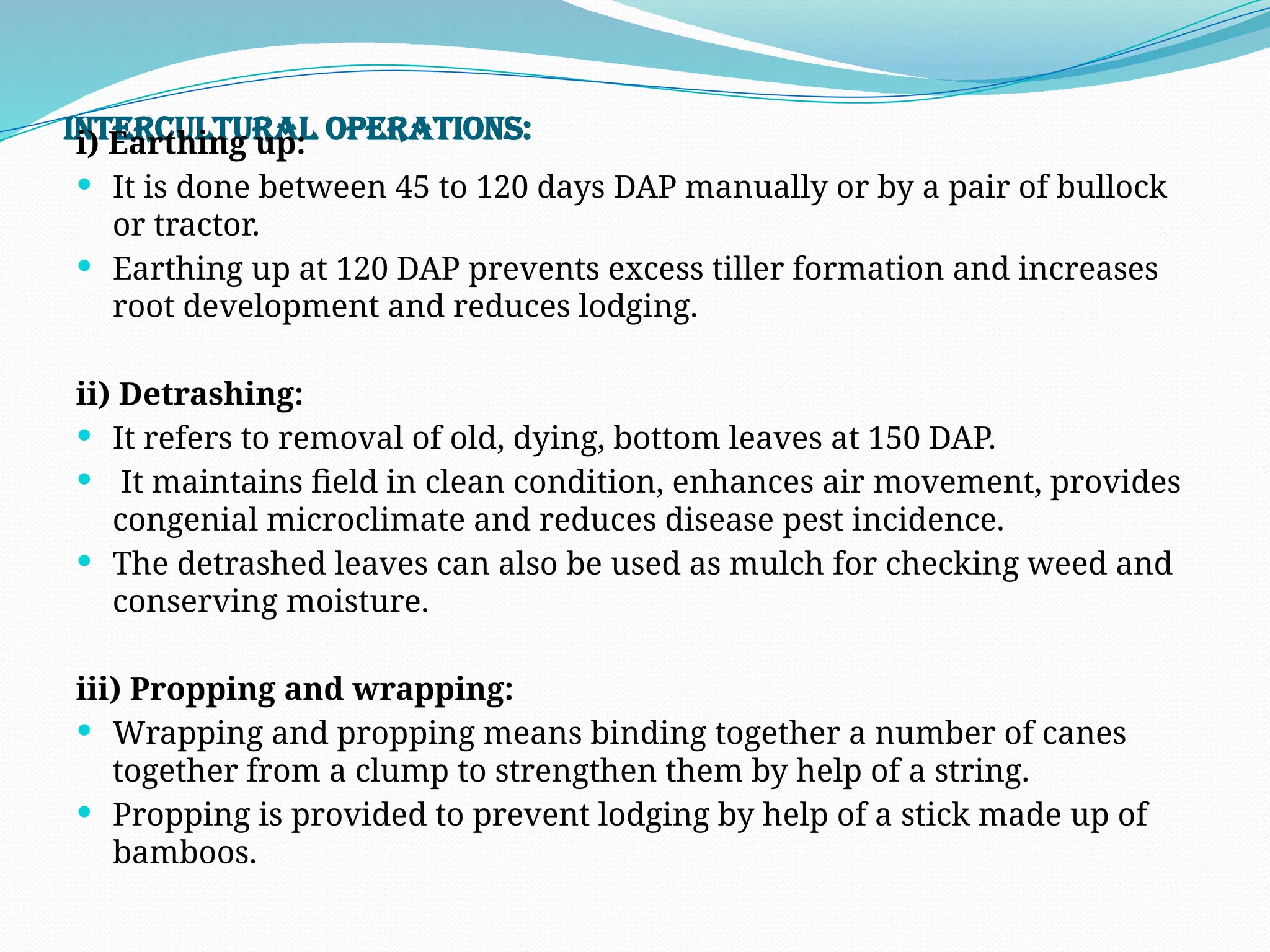 sugarcane production and technology ppt.pptx
