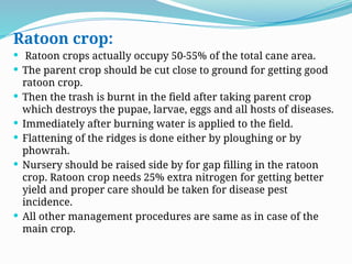 sugarcane production and technology ppt.pptx