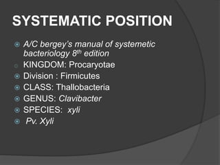 Sugarcane ratoon stunting | PPTX
