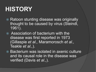 Sugarcane ratoon stunting | PPTX