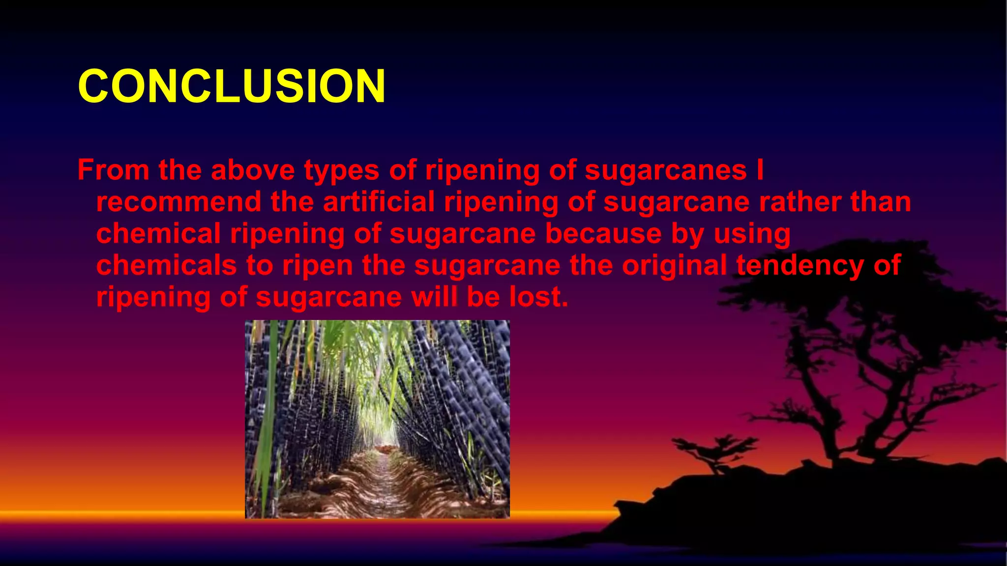 Sugarcane ripener | PPTX