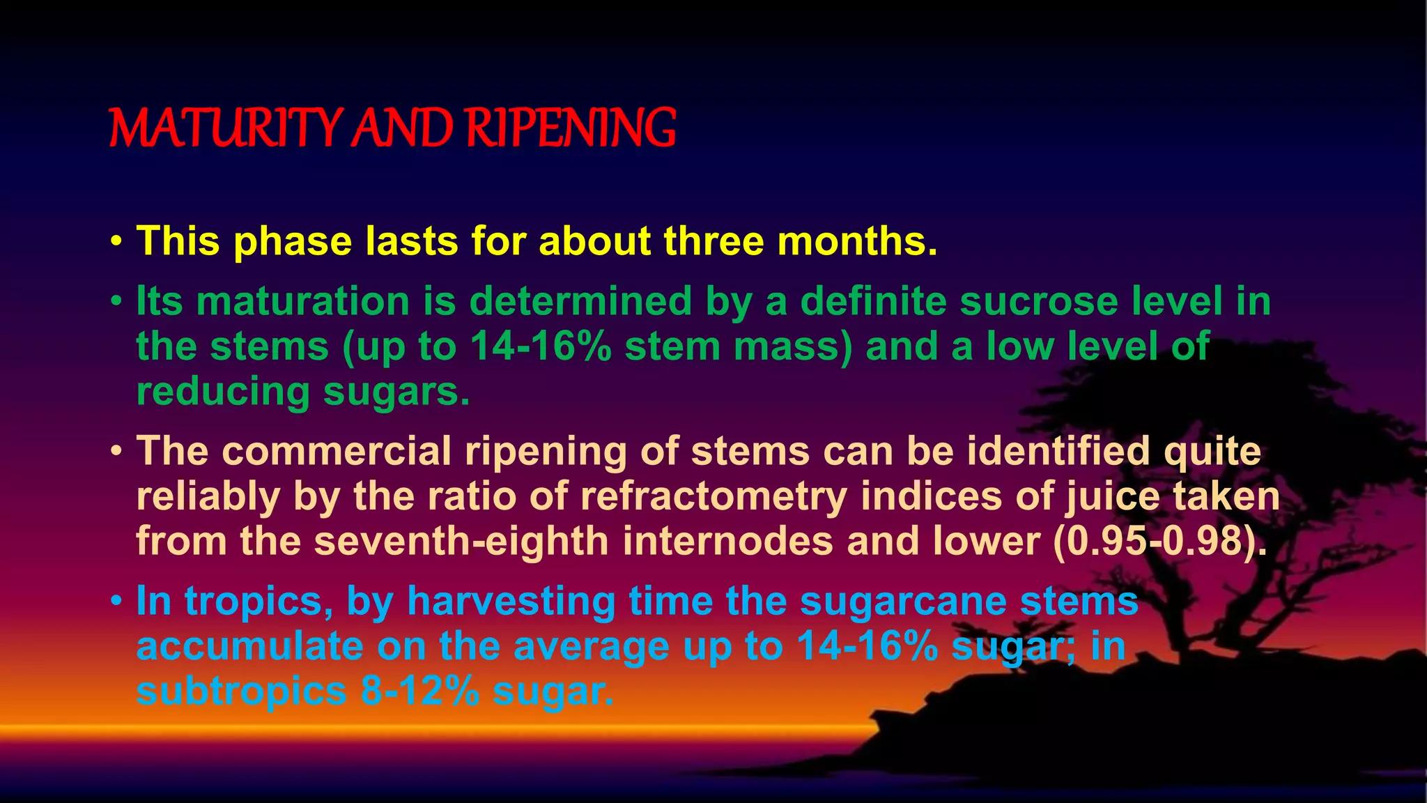 Sugarcane ripener | PPTX