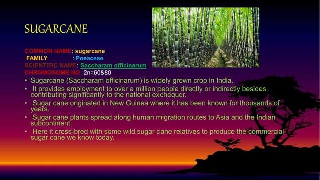 Sugarcane ripener | PPTX | Agriculture | Industries