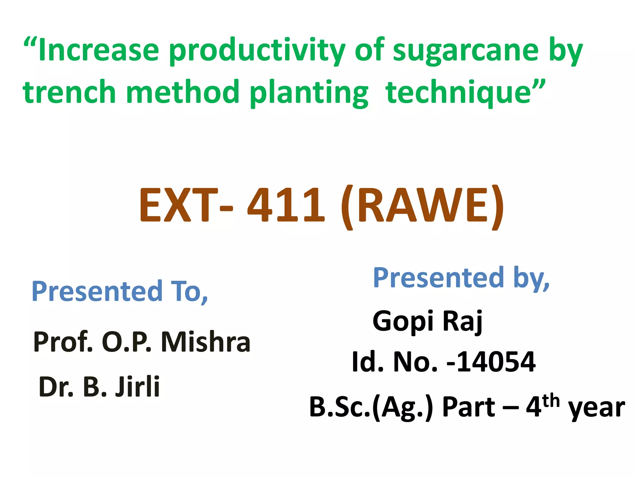 Sugarcane trench method planting | PPTX
