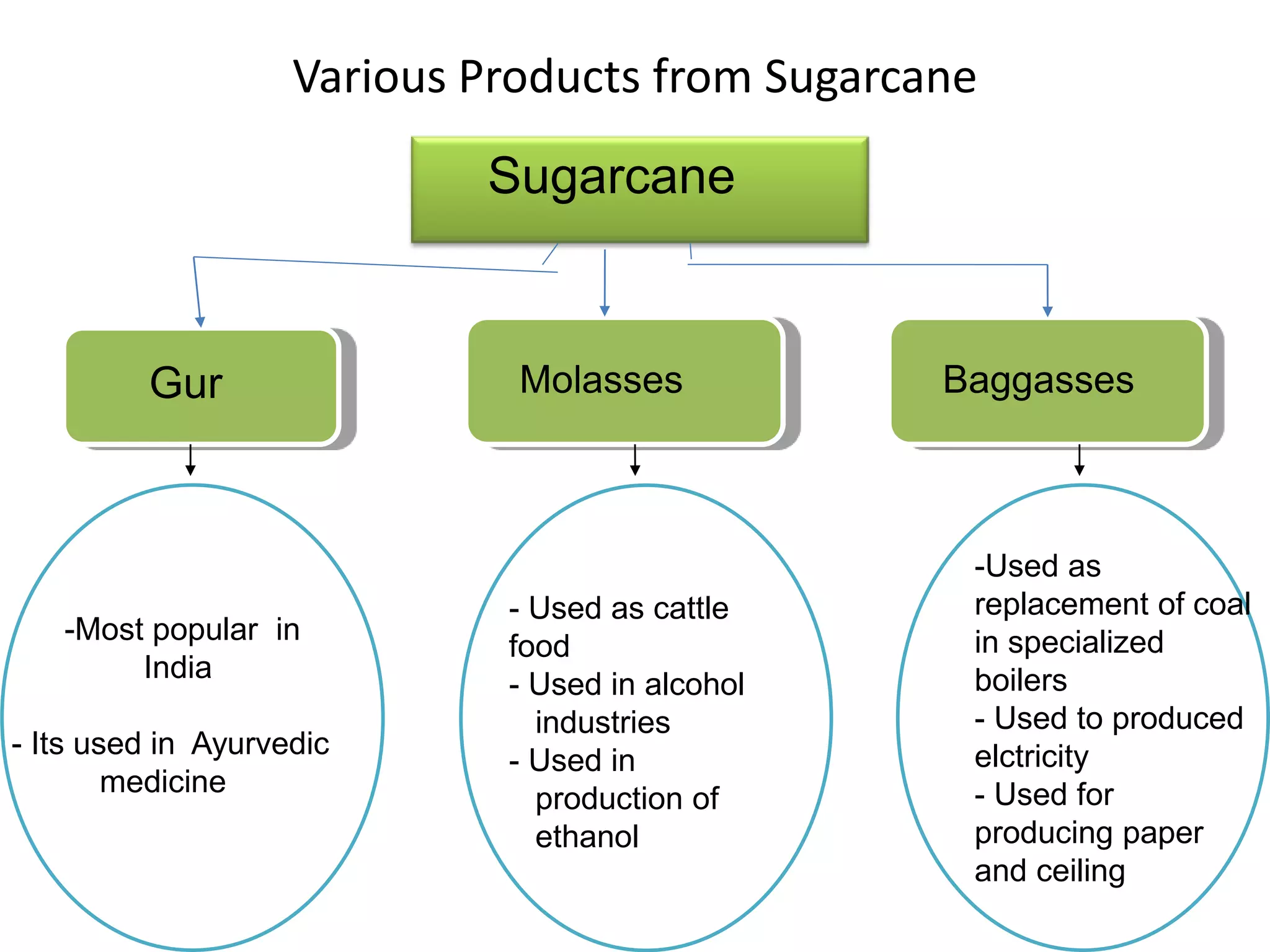 Sugarcane trench method planting | PPTX