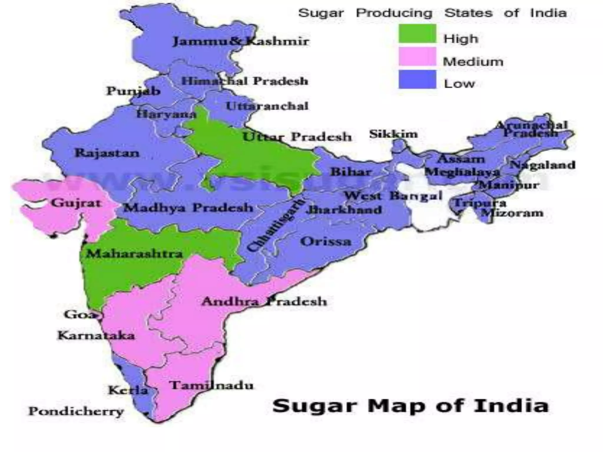Sugarcane trench method planting | PPTX