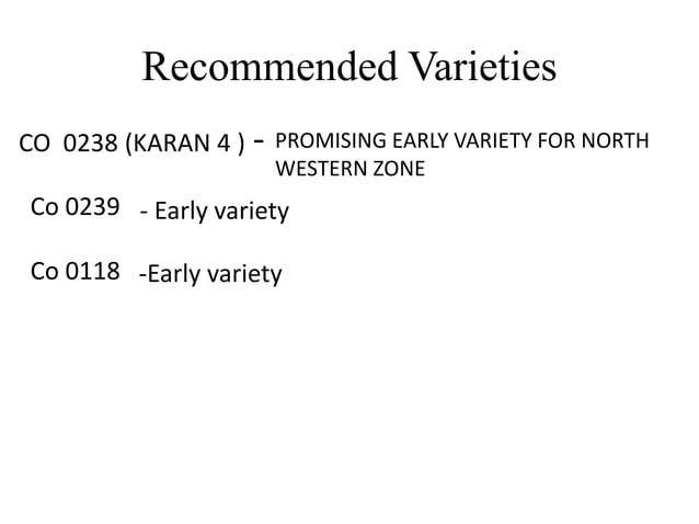 Sugarcane trench method planting | PPTX