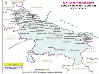 Sugarcane trench method planting | PPTX