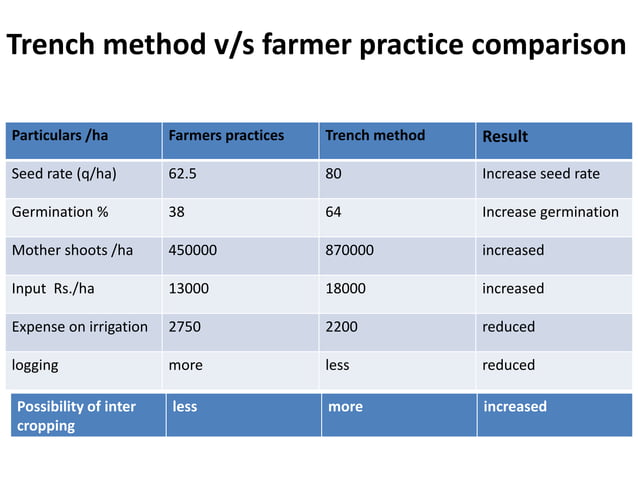 Sugarcane trench method planting | PPTX