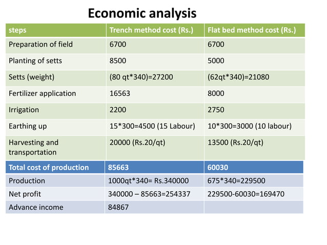 Sugarcane trench method planting | PPTX