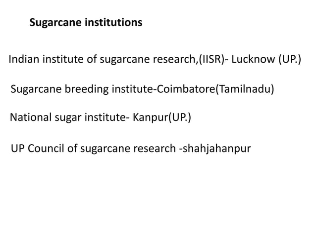 Sugarcane trench method planting | PPTX