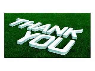 Sugarcane trench method planting | PPTX