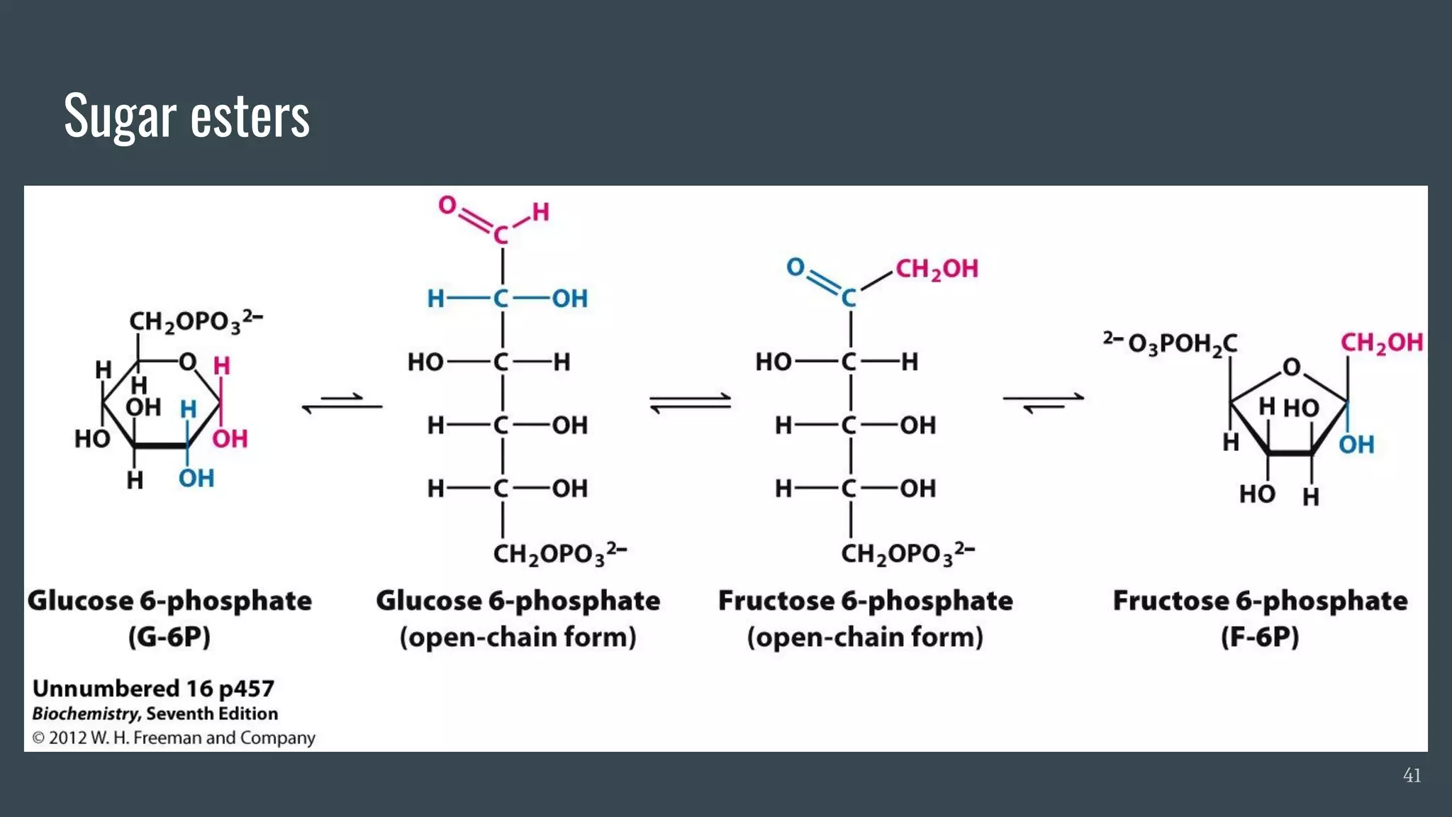Sugar derivatives and reactions of monosaccharides | PDF