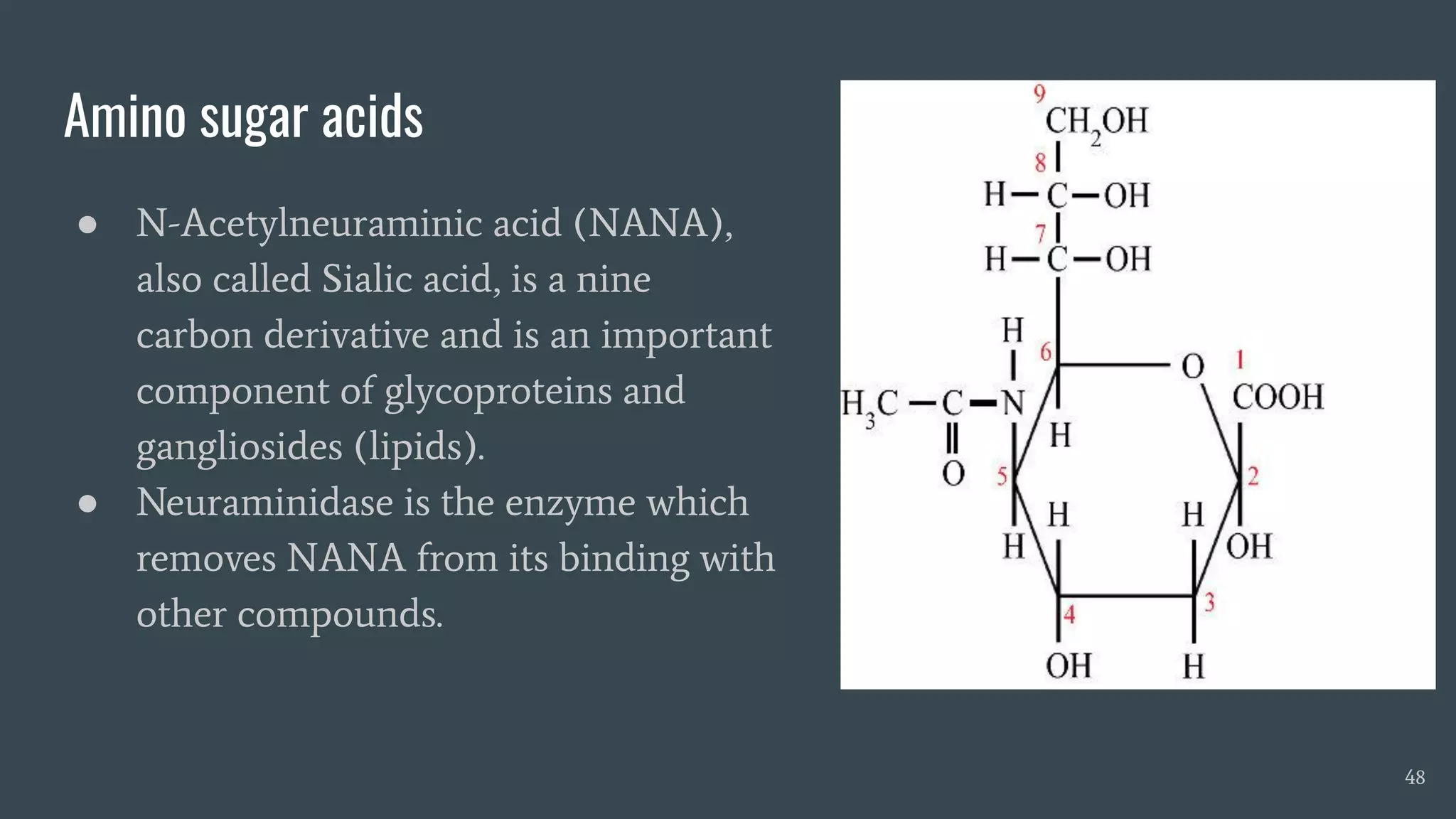 Sugar derivatives and reactions of monosaccharides | PDF