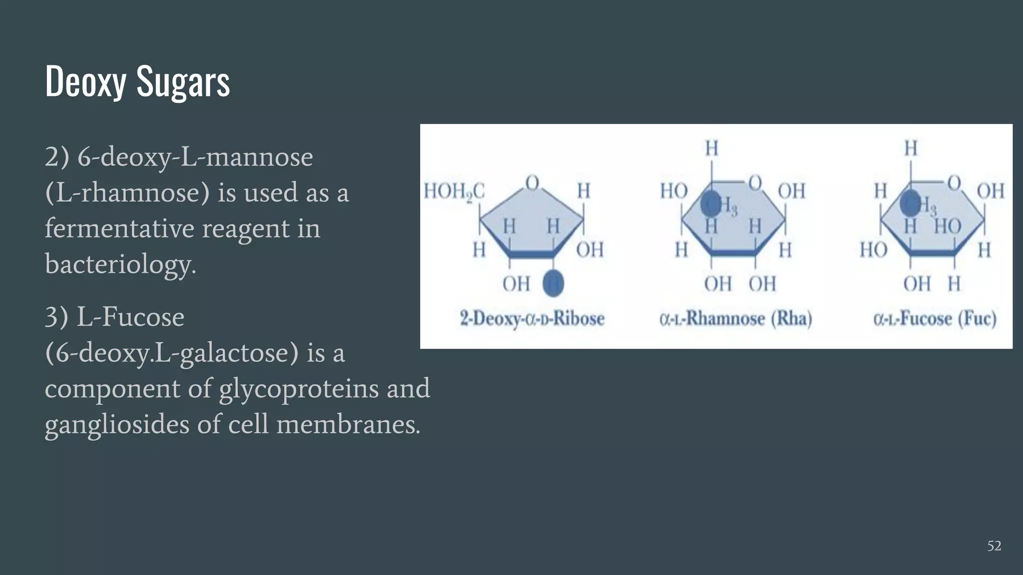 Sugar derivatives and reactions of monosaccharides | PDF