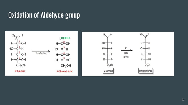 Sugar derivatives and reactions of monosaccharides | PDF | Chemistry ...