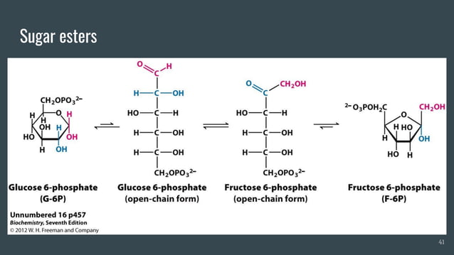 Sugar derivatives and reactions of monosaccharides | PDF | Chemistry ...