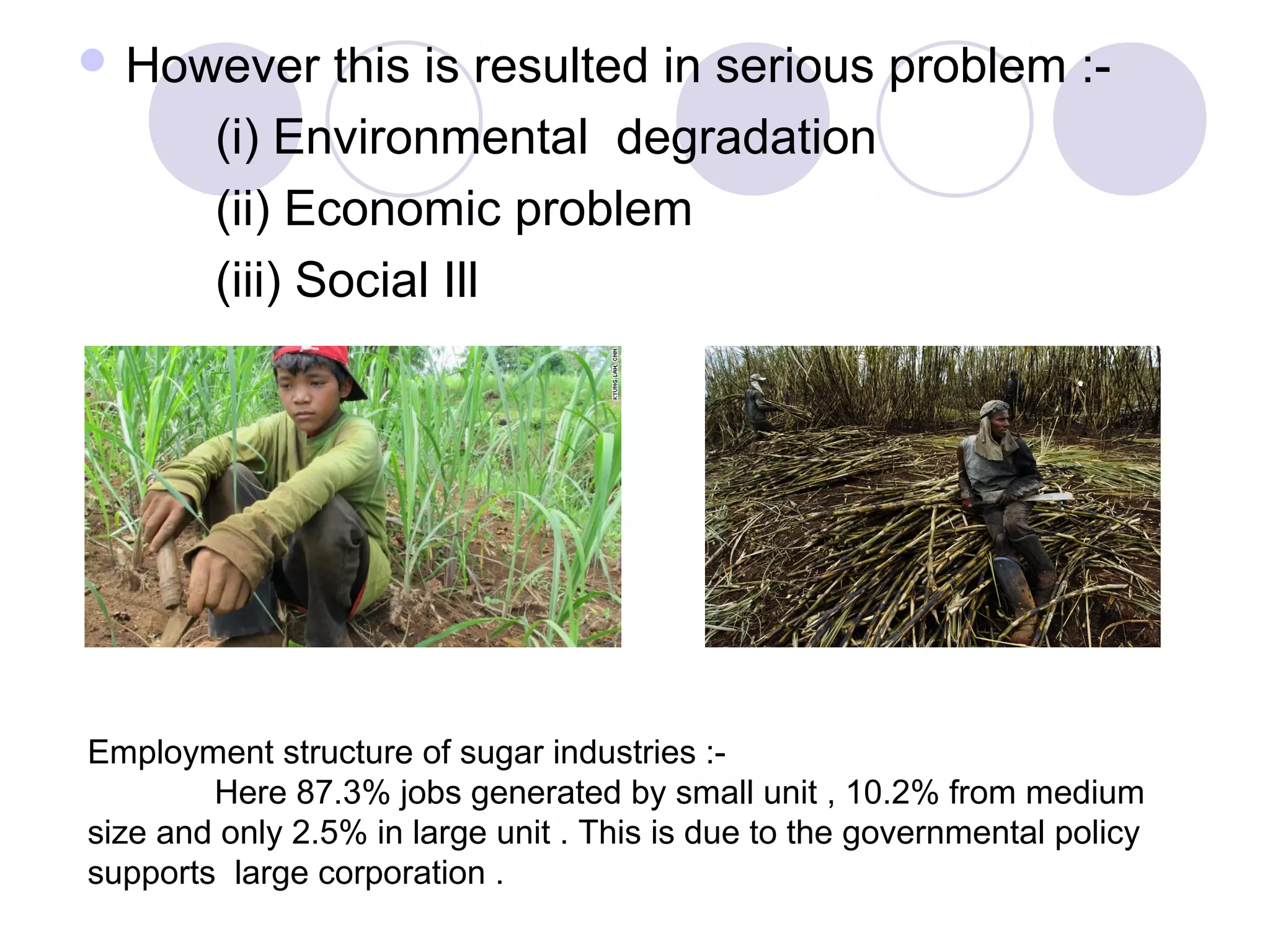 Sugar industries suraj | PPT | Agriculture | Industries