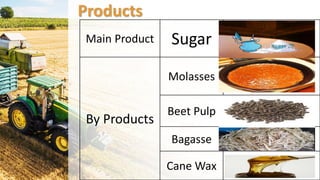 Sugar industry in pakistan and their environmental impacts | PDF