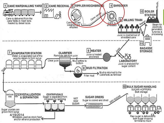 Sugar manufacturing process | PPTX | Desserts and Baking | Food & Drink