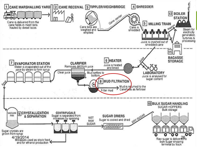 Sugar manufacturing process | PPTX | Desserts and Baking | Food & Drink