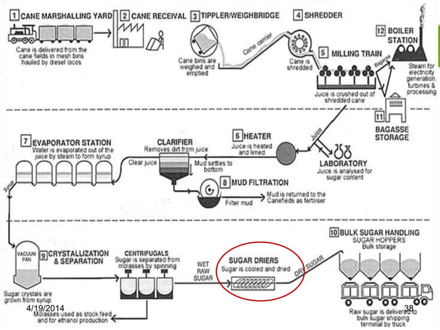 Sugar manufacturing process | PPTX | Desserts and Baking | Food & Drink