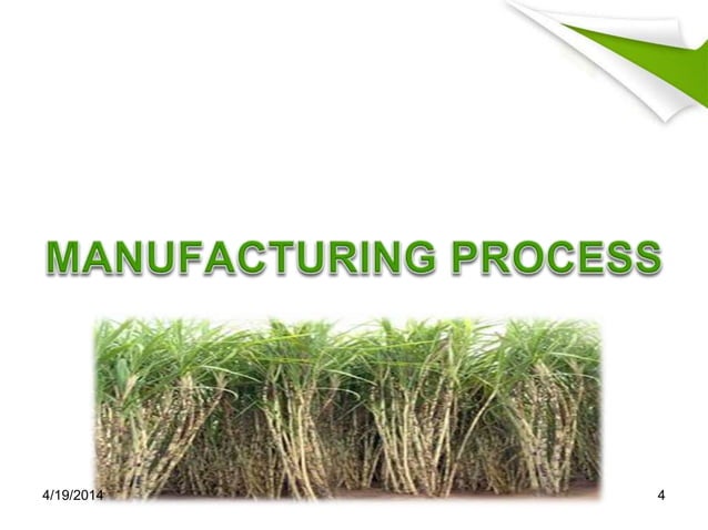 Sugar manufacturing process | PPTX | Desserts and Baking | Food & Drink
