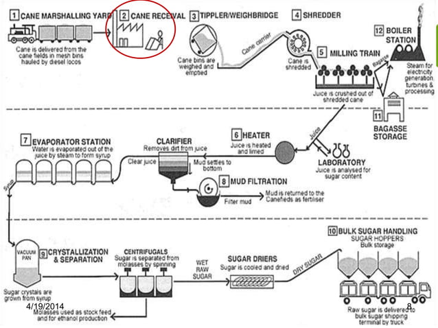 Sugar manufacturing process | PPTX | Desserts and Baking | Food & Drink
