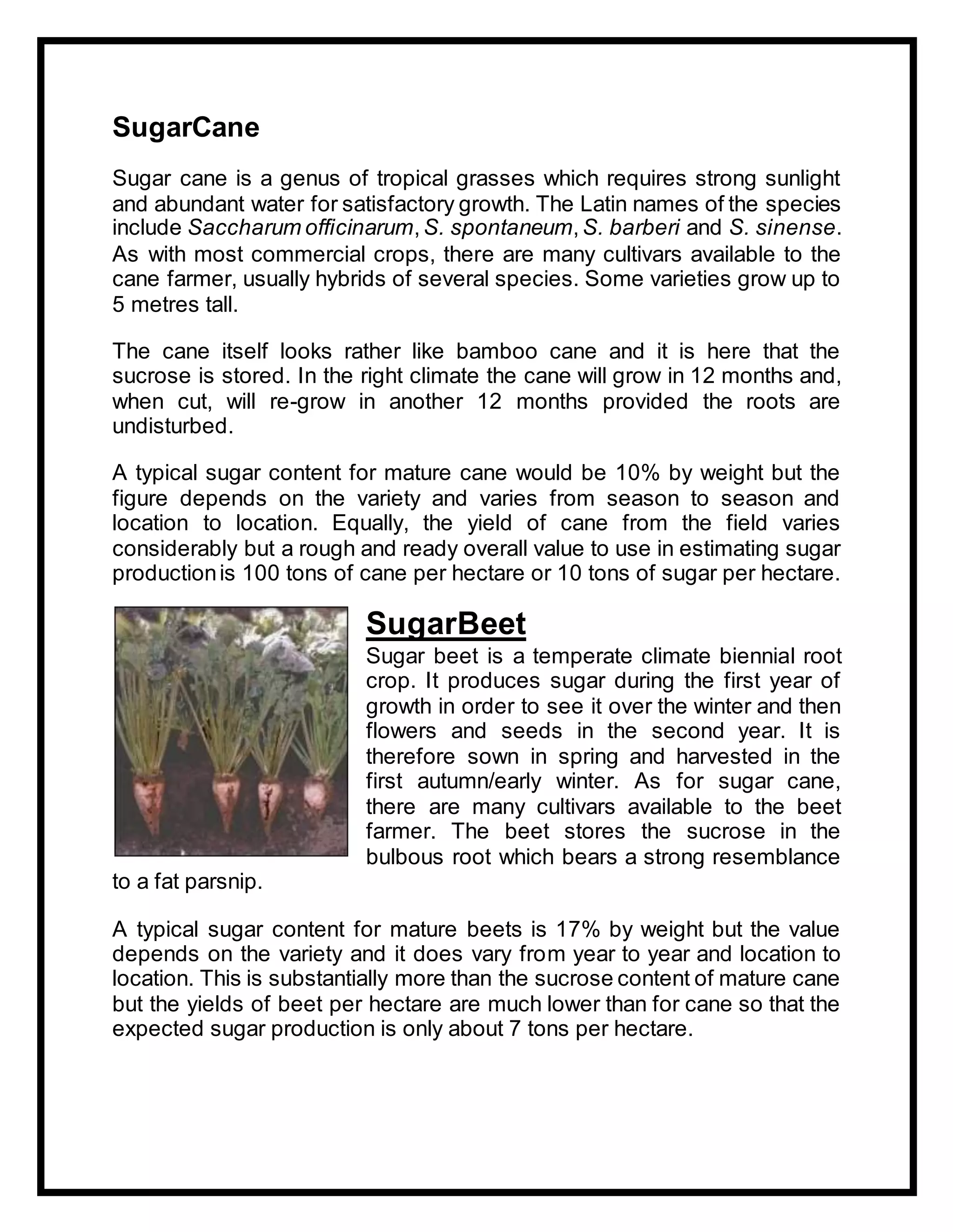 Report on Sugar mill bisalpur by sachin kumar | DOCX