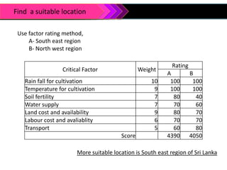 Sugar plant design | PPTX