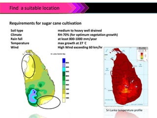 Sugar plant design | PPTX