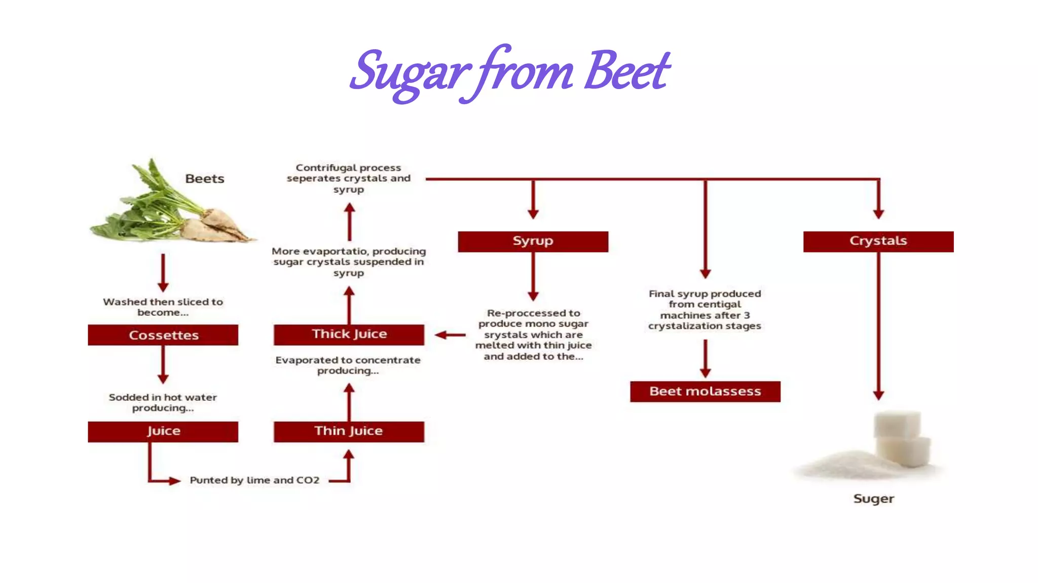 Sugar processing | PPTX