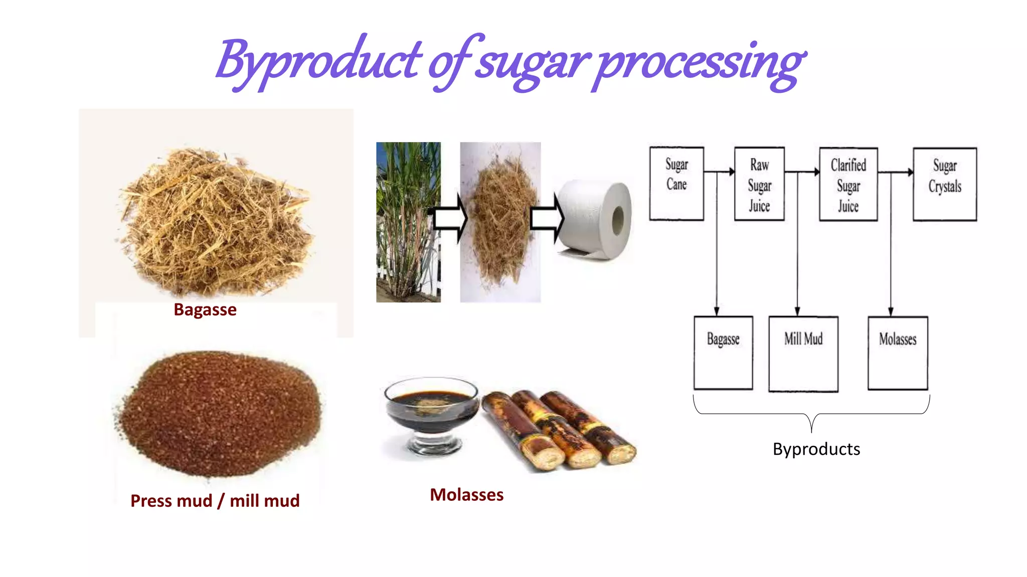 Sugar processing | PPTX