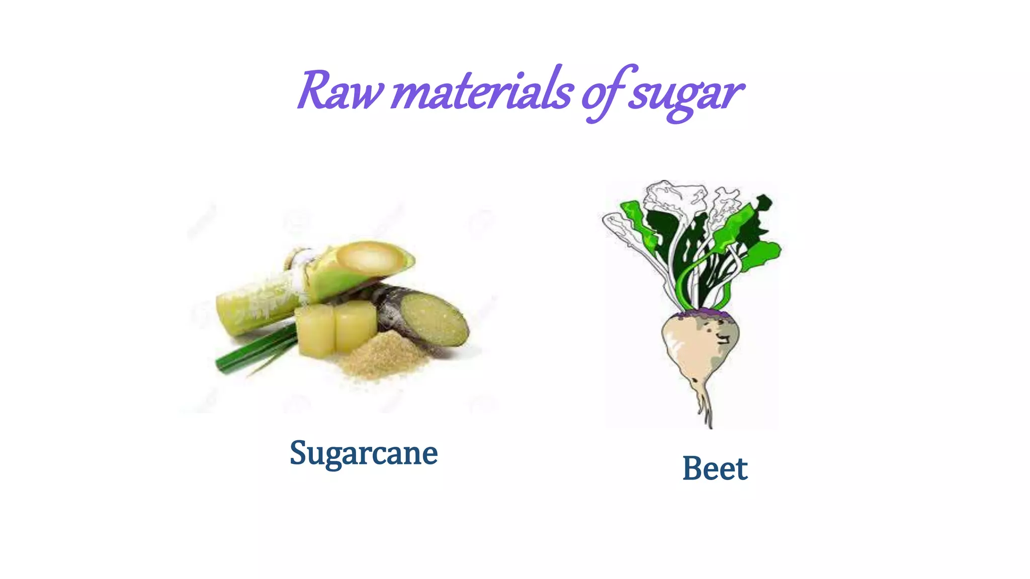 Sugar processing | PPTX