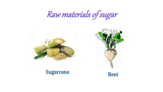 Sugar processing | PPTX