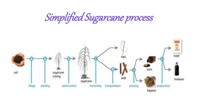 Sugar processing