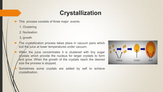 Manufacturing of Sugars from different sources | PPTX