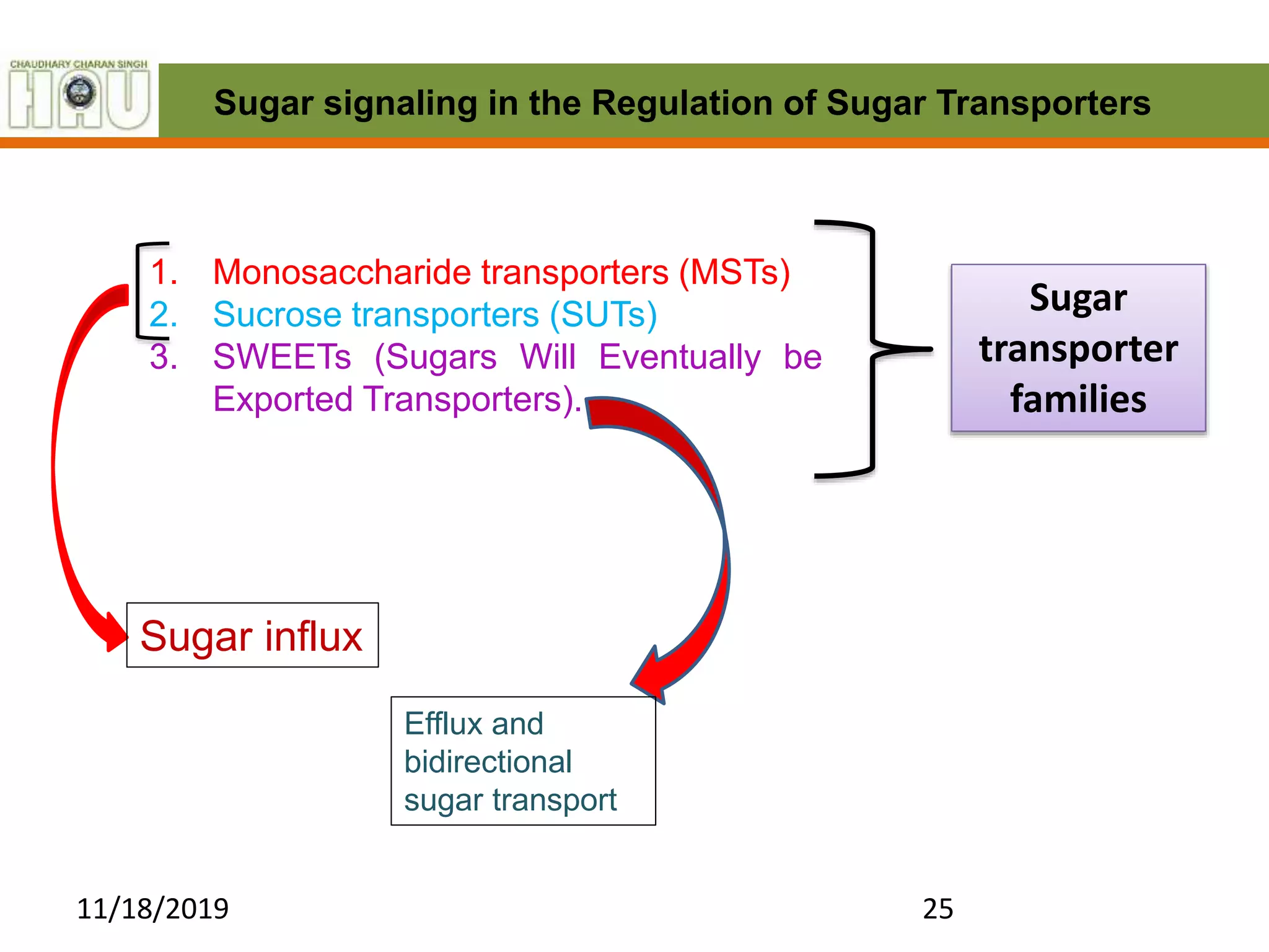 Sugar sensing and signaling in plants | PPTX