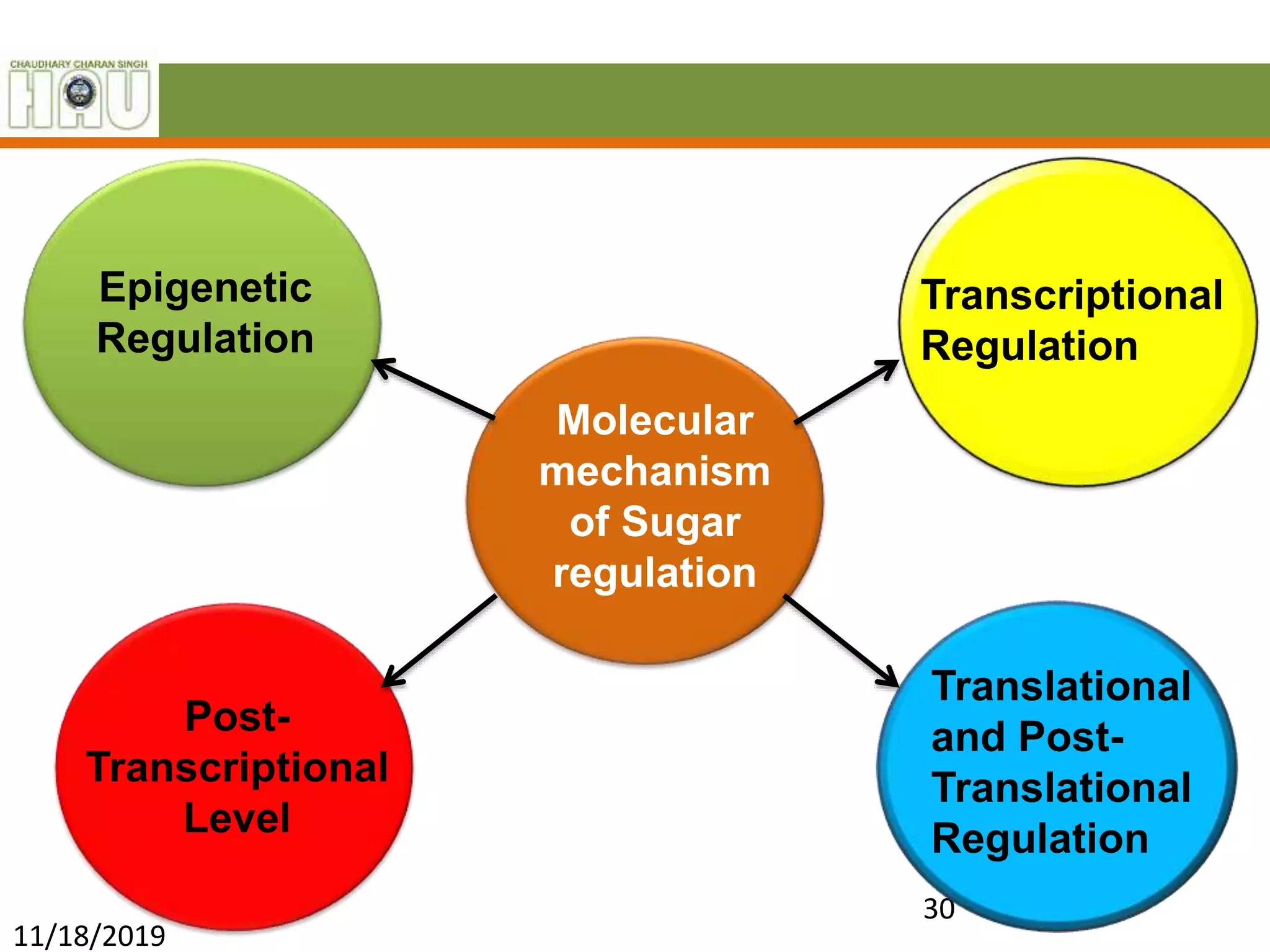 Sugar sensing and signaling in plants | PPTX