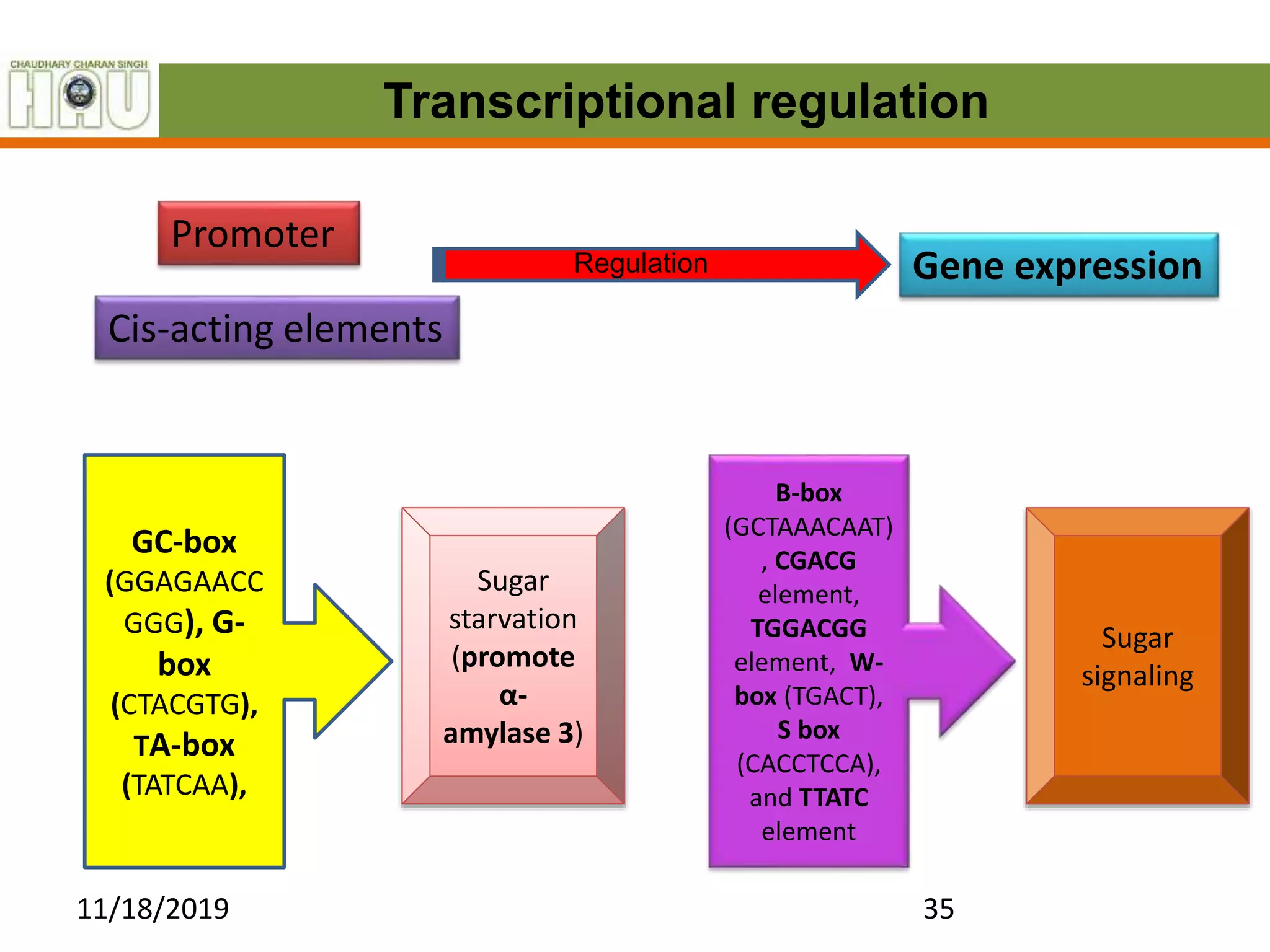 Sugar sensing and signaling in plants | PPTX