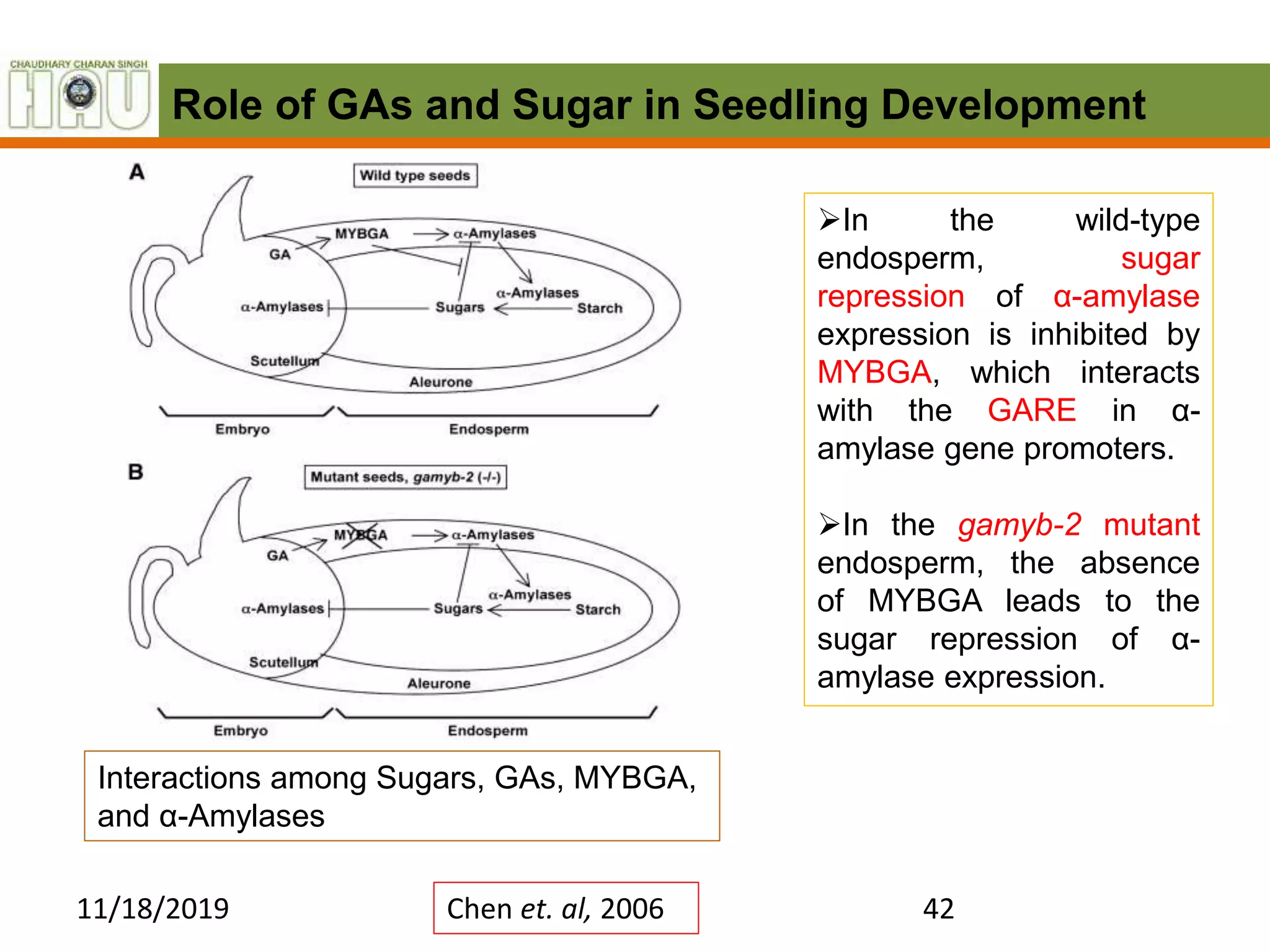 Sugar sensing and signaling in plants | PPTX