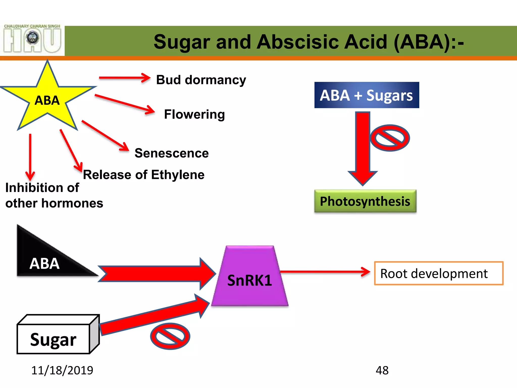 Sugar sensing and signaling in plants | PPTX