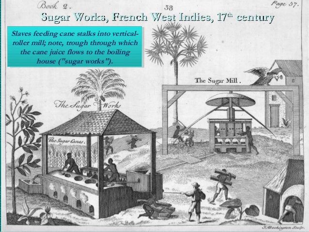 Sugar Trade: Period 4