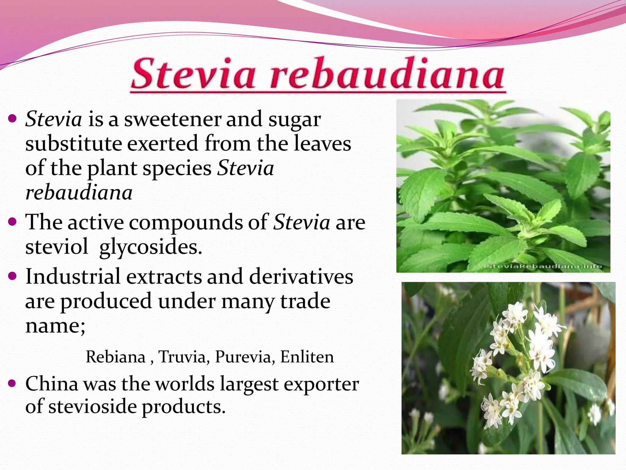 Sugar yeilding plants | PPTX
