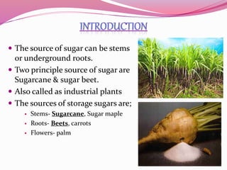 Sugar yeilding plants | PPTX