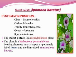 Sugar yeilding plants | PPTX