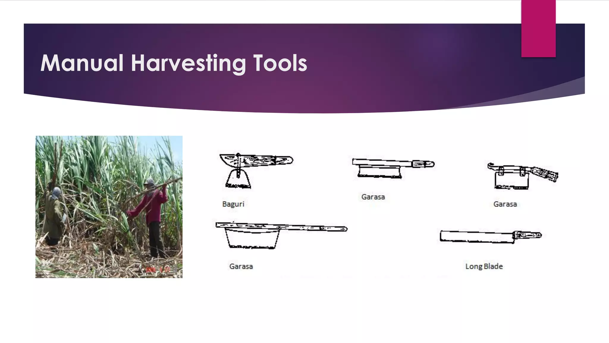 Sugercane harvesting machinery | PDF