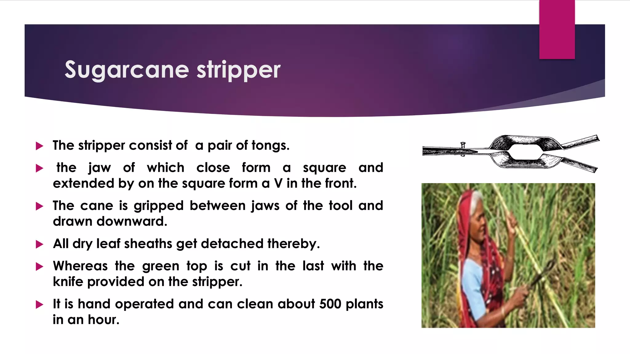 Sugercane harvesting machinery | PDF