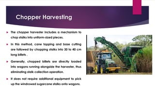 Sugercane harvesting machinery | PDF
